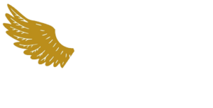 Home - Guardian Angel Driving School